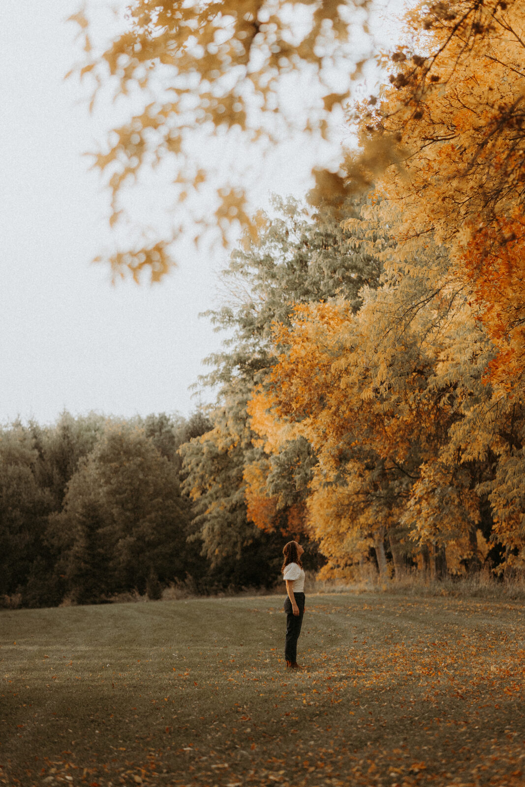 Vintage Jane Austen Inspired Senior Photo Session- Anika, Class of 2023 ...